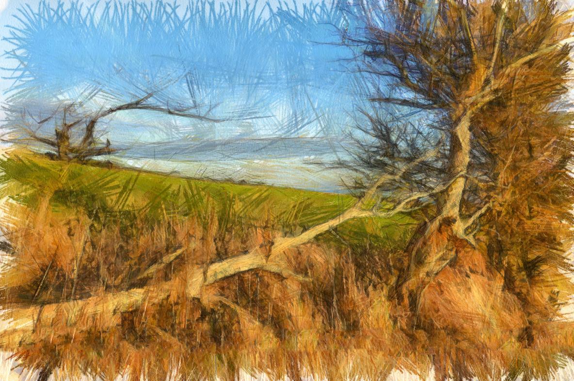 Mike Clift Artwork (SSG)